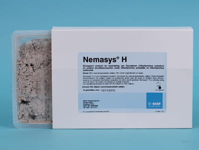 Nemasys G - preparat na szkodniki glebowe